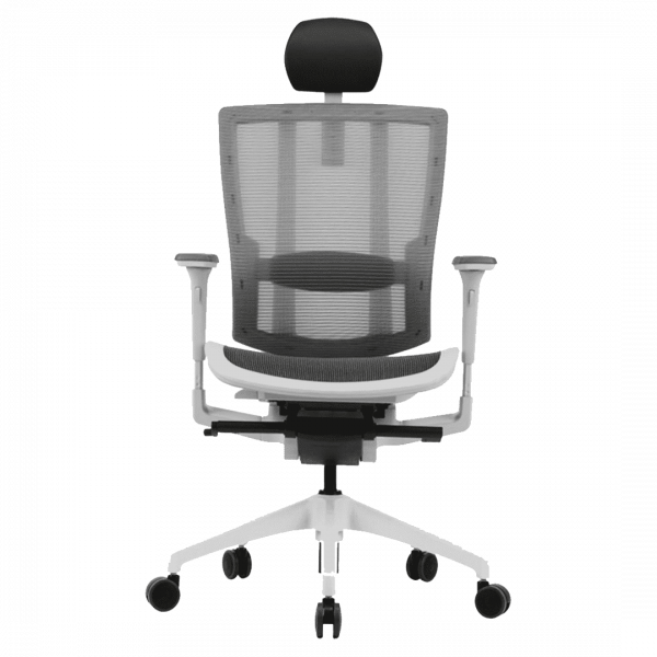 Adjustable Ergonomic Furniture • Ergosphere